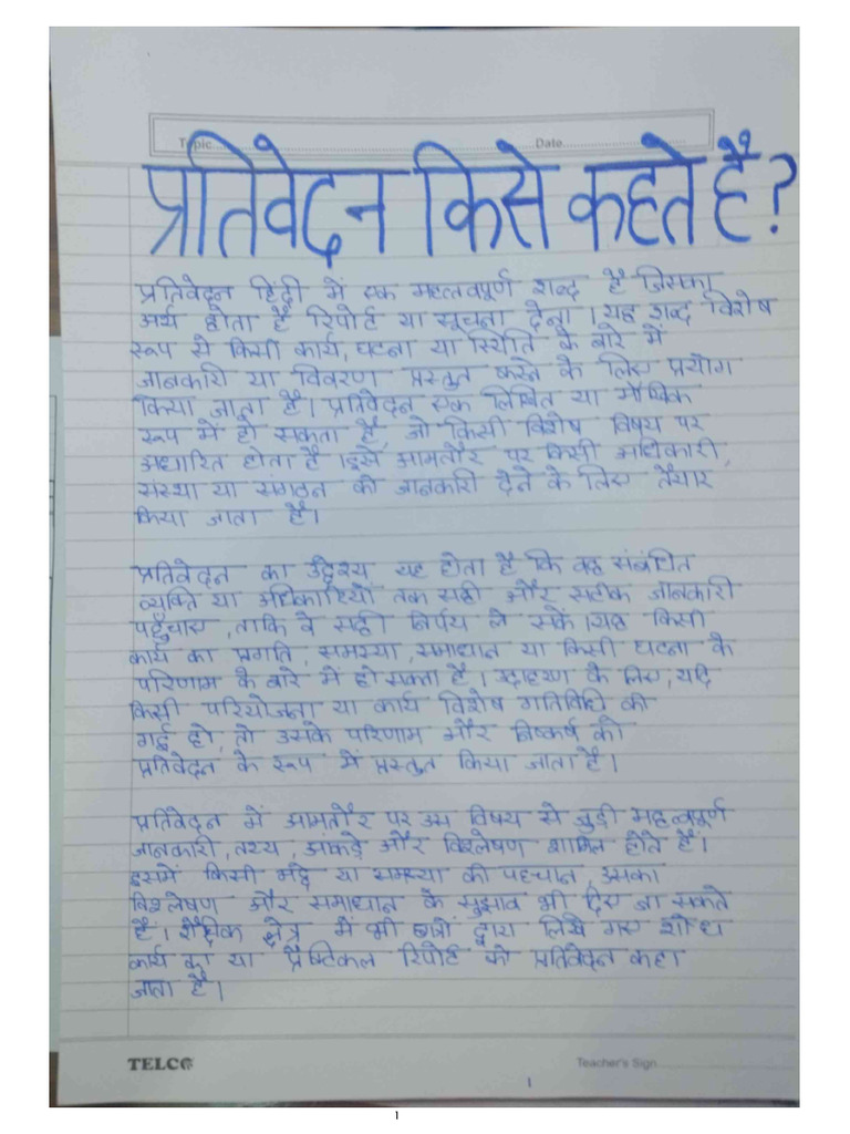 Hindi Assignment | PDF