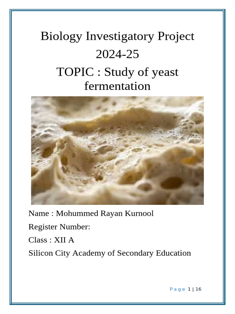 Yeast Fermentation Study Project Class 12 | PDF | Fermentation | Yeast