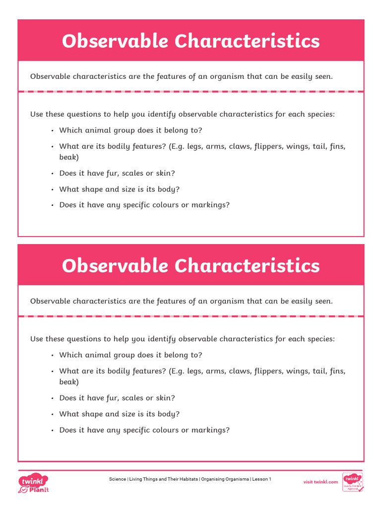 Identifying Observable Characteristics | PDF