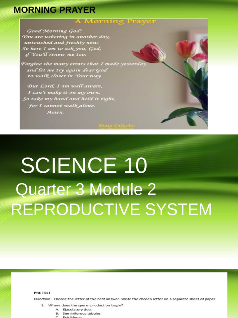 G2 Presentation in Science Quarter 3 | PDF