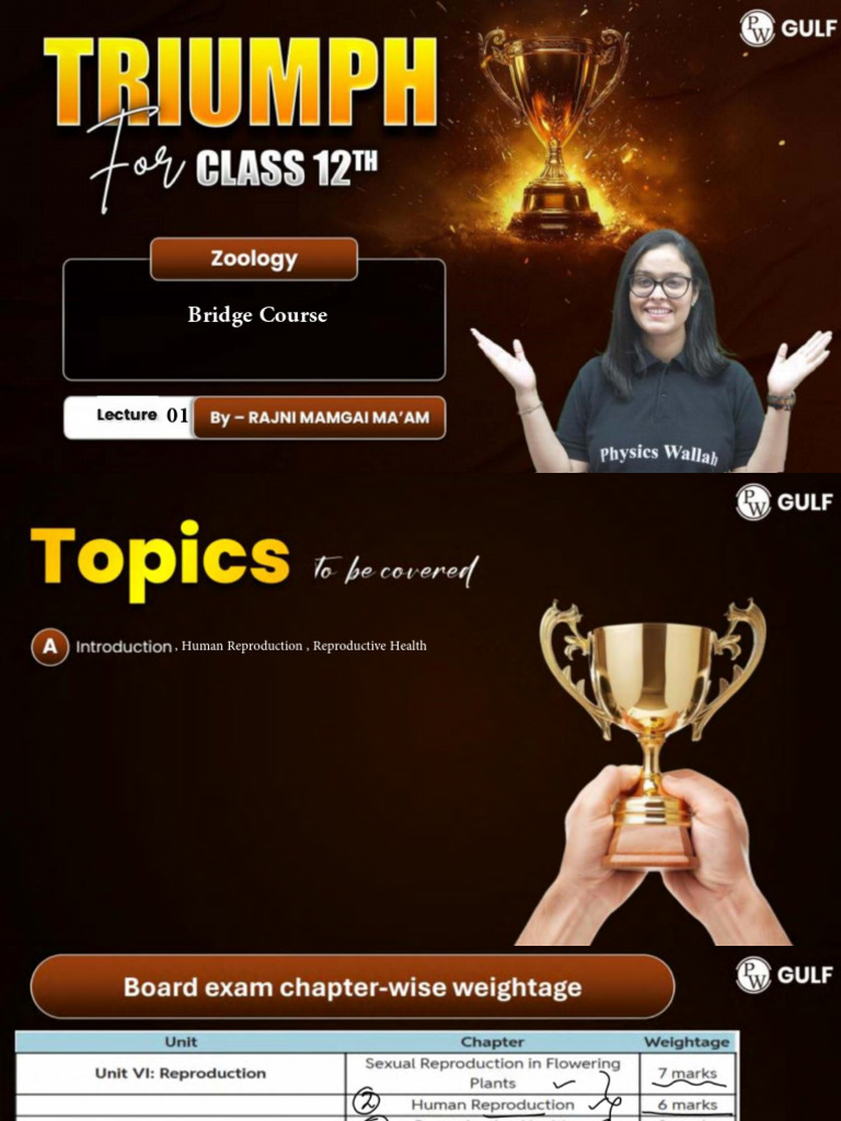 Bridge Course | PDF