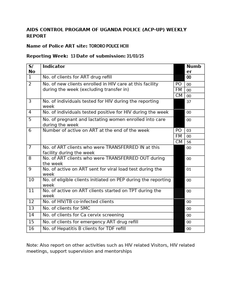 Report Template 1 | PDF
