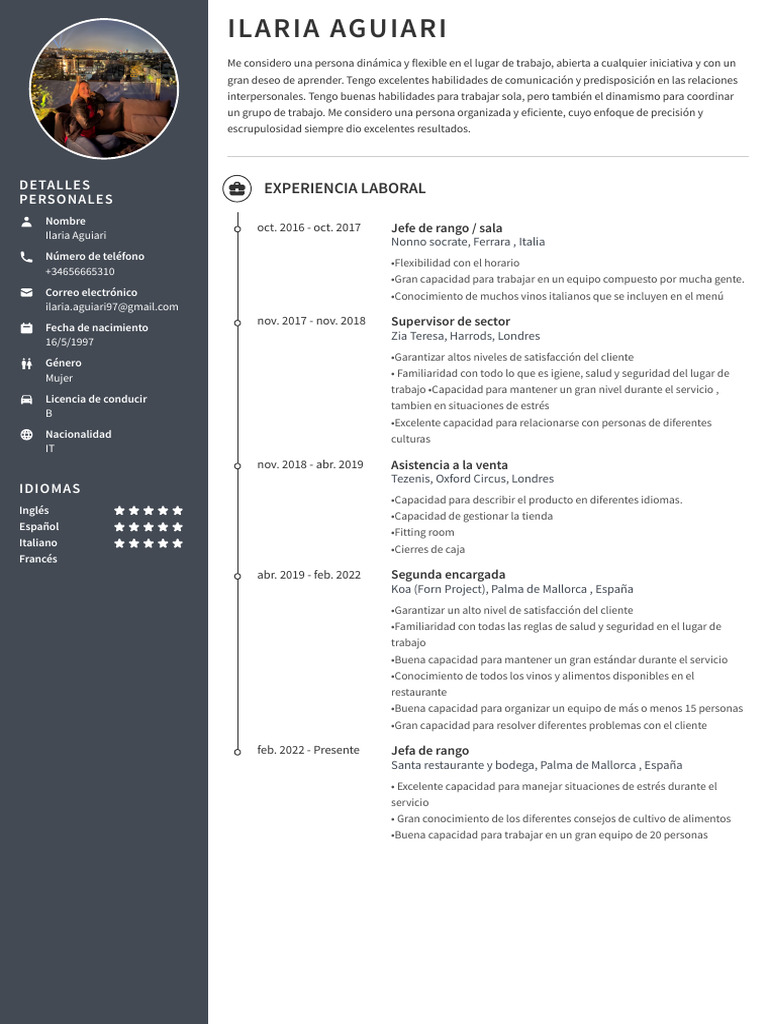 Currículum Español 2023 | PDF