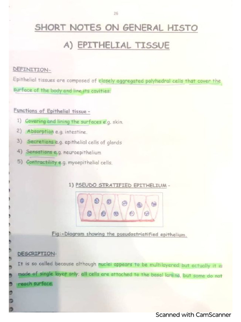 Histology NOTES | PDF