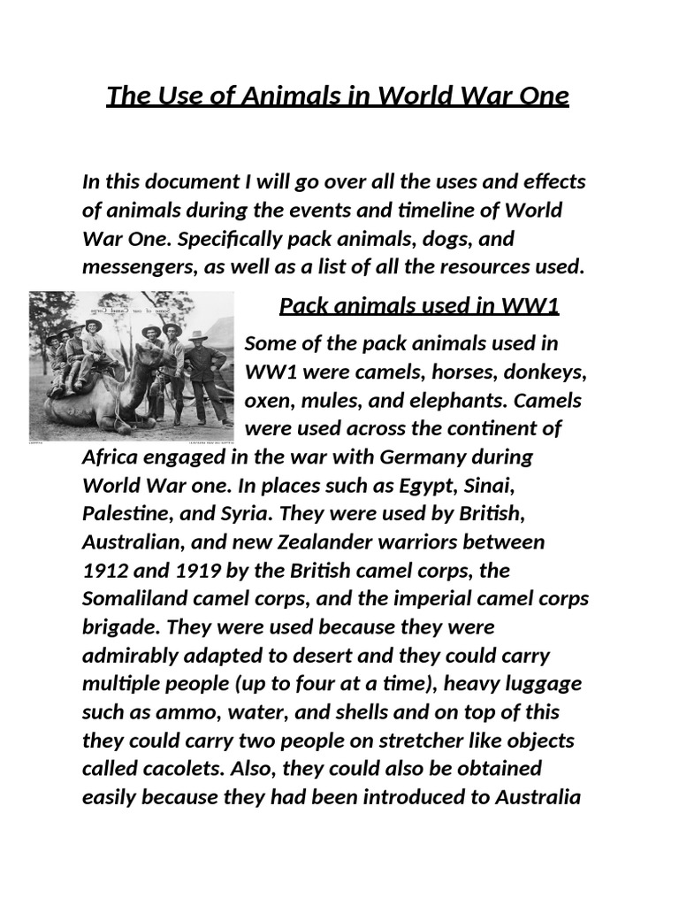 Animals' Roles in World War One | PDF | Camel | Warfare
