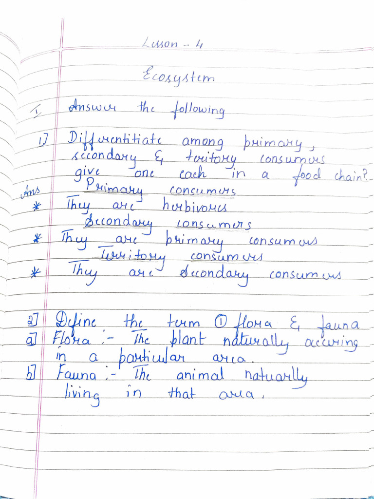 Biology Lesson4 | PDF