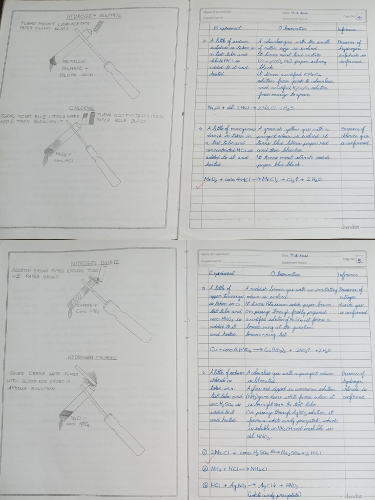 Chemistry Practical Work (1) | PDF