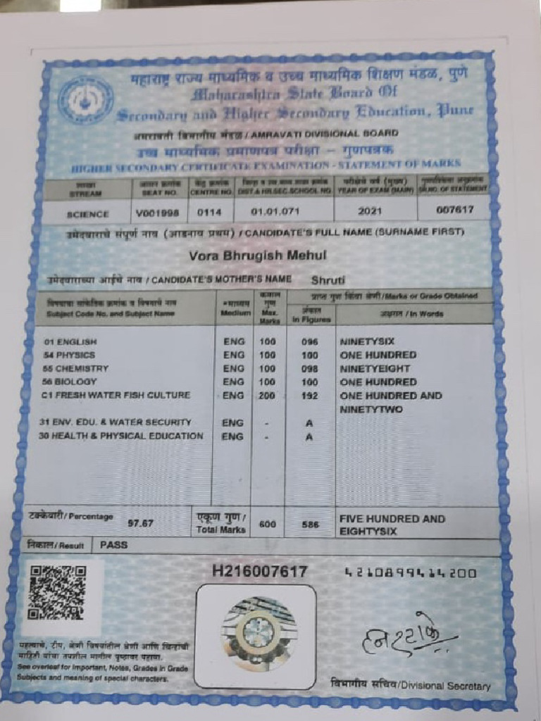 12th marksheet | PDF