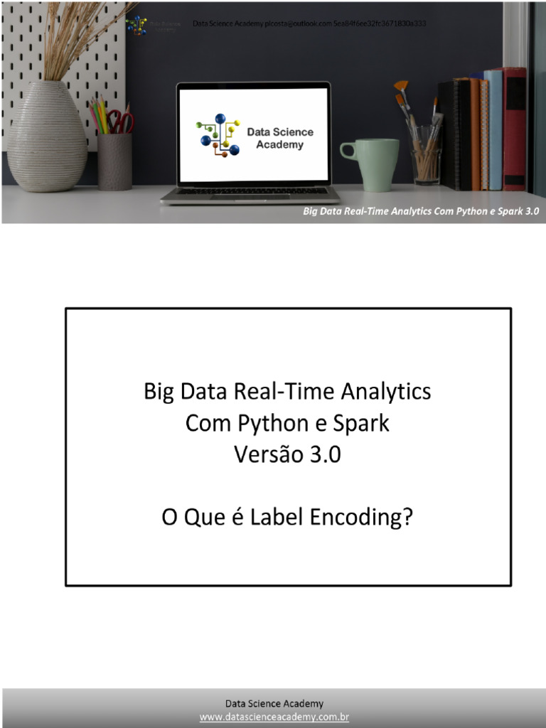 O Que É Label Encoding | PDF