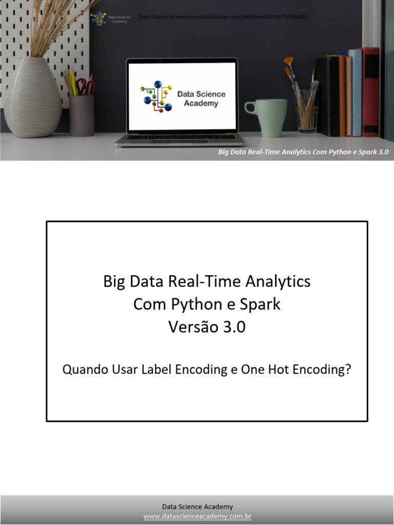 Quando Usar Label Encoding e One Hot Encoding | PDF