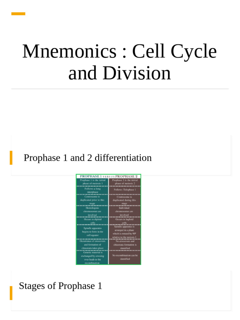 Mnemonics For Cycle Cell and Division | PDF