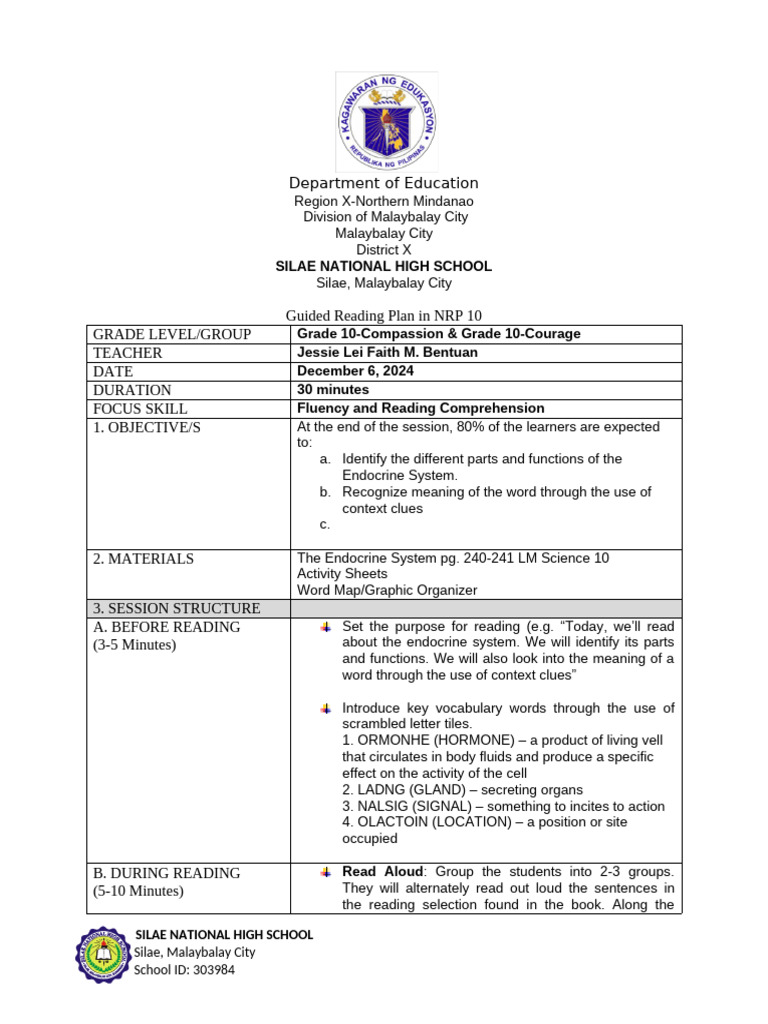 Guided Reading Plan: Endocrine System | PDF | Endocrine System | Hormone