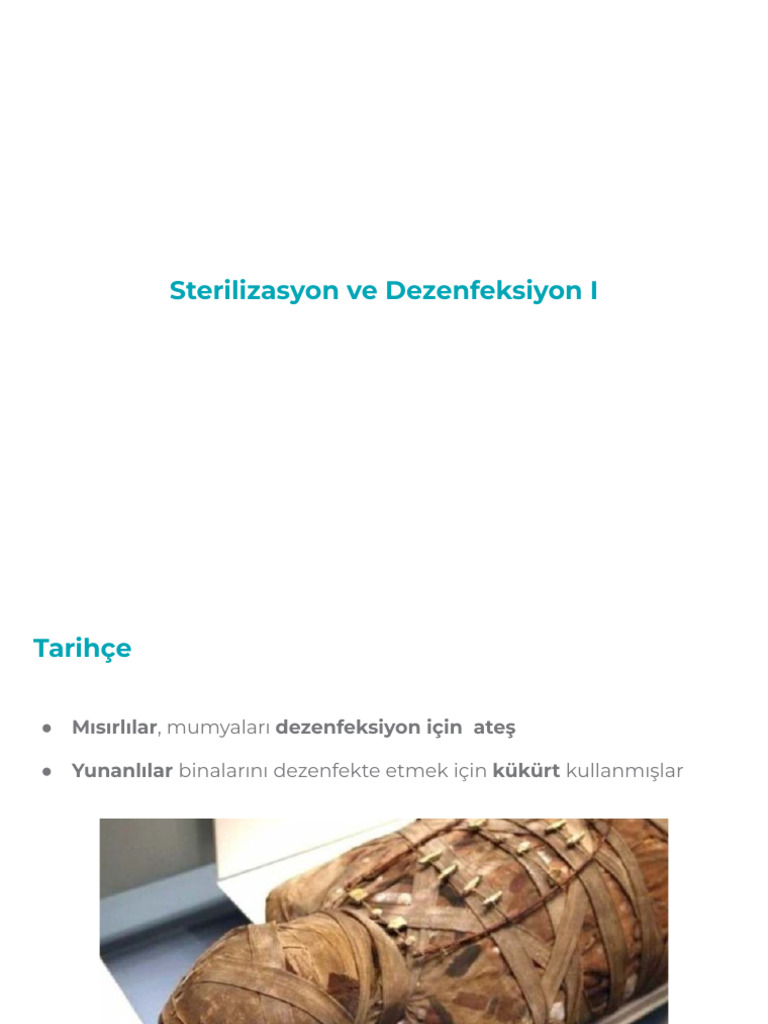 Ö Sterilizasyon Ve Dezenfeksiyon I | PDF