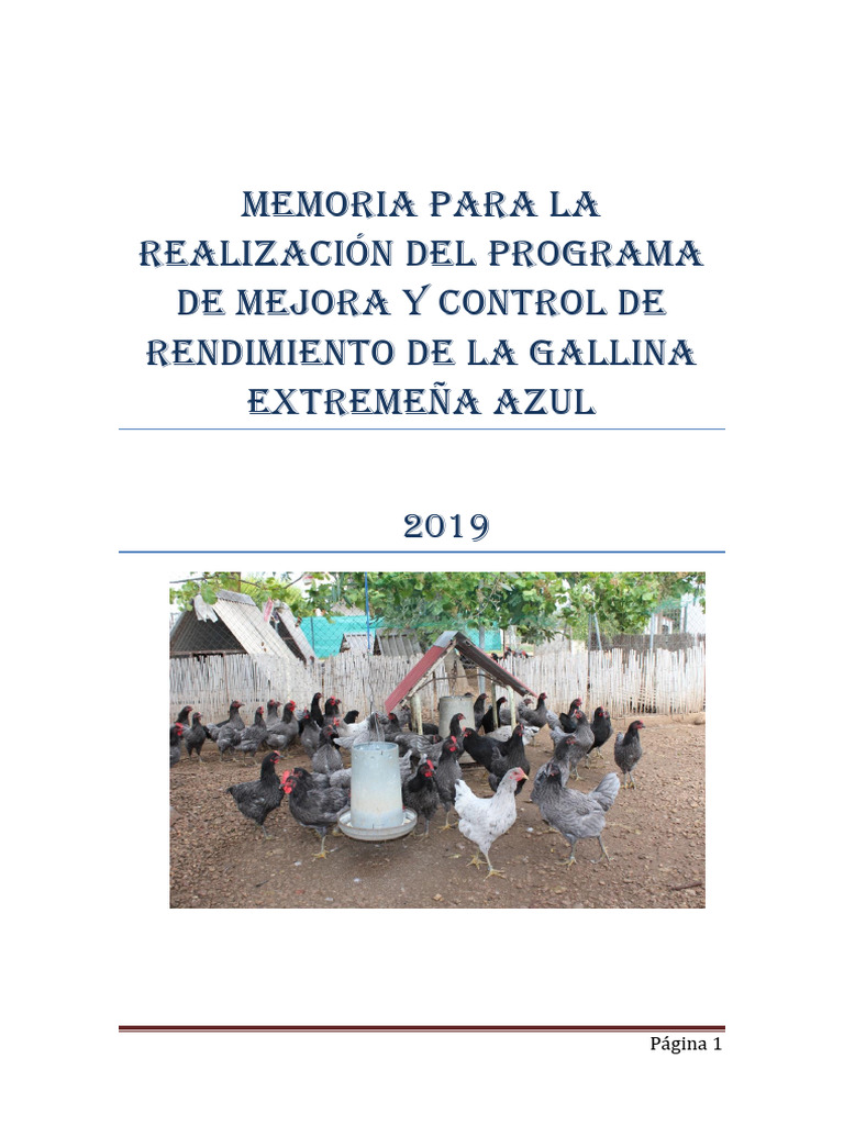 MEMORIA Programa de Mejora 2019 | PDF | Pollo | Carne