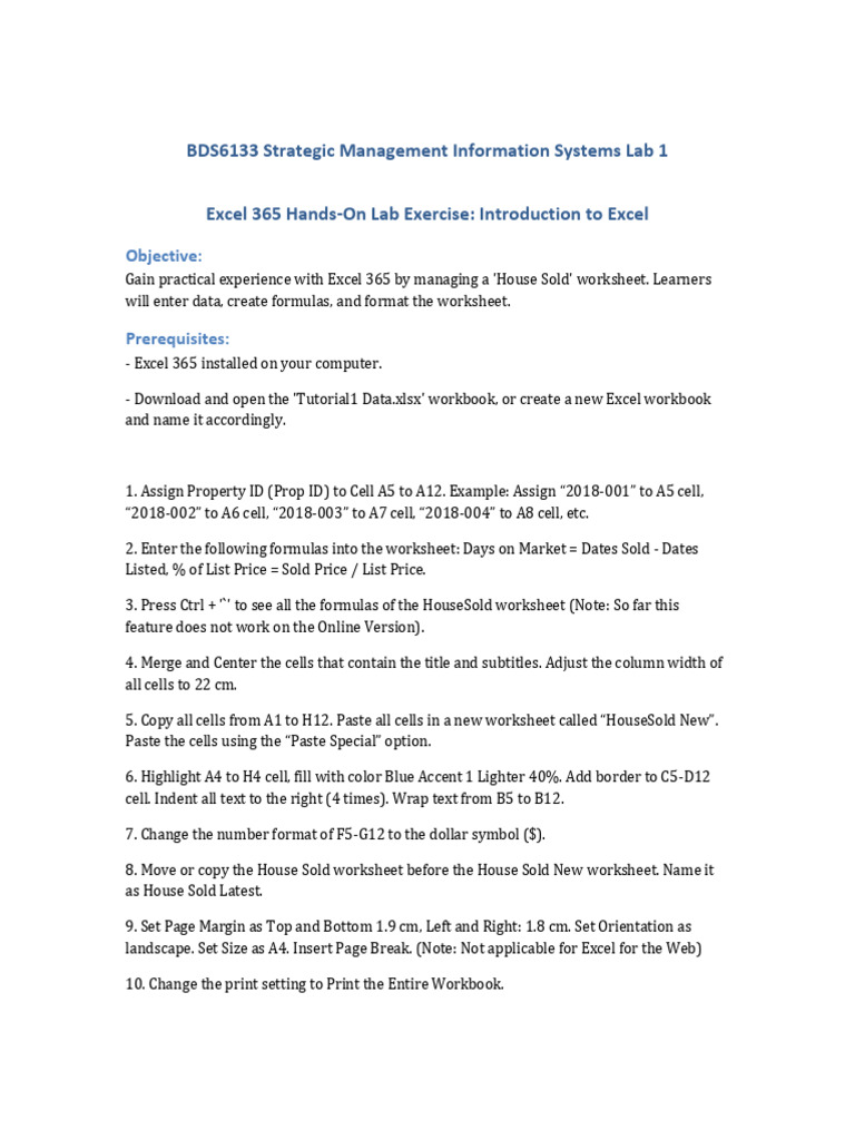 BDS6133 Strategic Management Information Systems Lab 1 | PDF