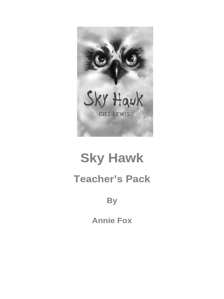 SkyHawk TP | PDF | Lesson Plan | Narration