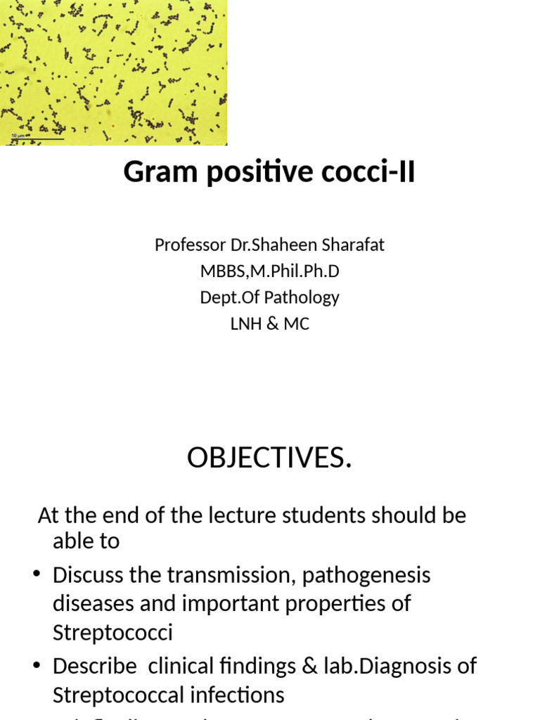 Gram Positive Cocci-II (1) | PDF | Streptococcus | Infection