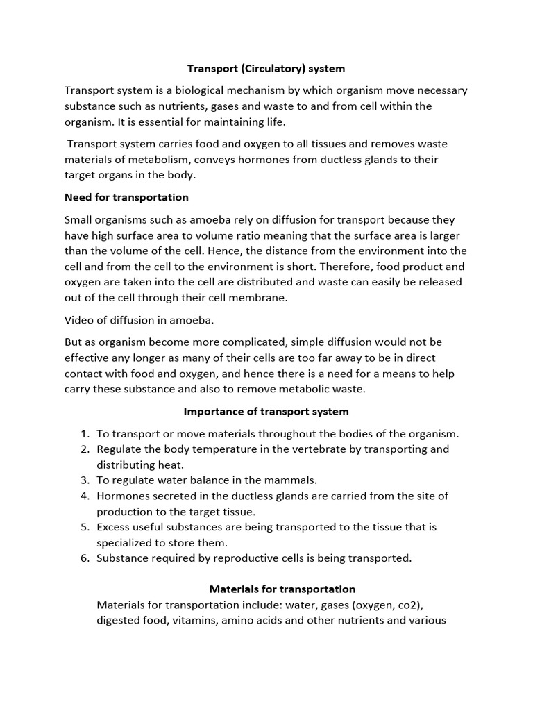 Transportation System | PDF | Circulatory System | Heart