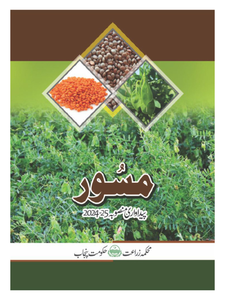 Lentil_1 | PDF