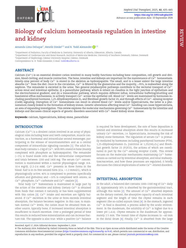 Calcium Homeostasis in Intestine and Kidney | PDF | Calcium In Biology ...