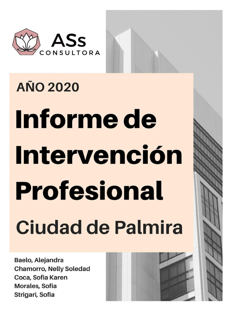 Informe Profesional Consultora ASs-1 | PDF | Peatonal | Transporte