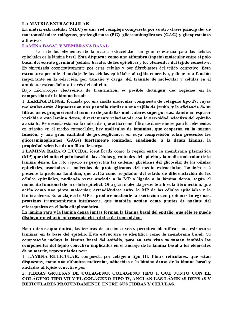 Estructura y Función de la Matriz Extracelular | PDF | Sinapsis ...
