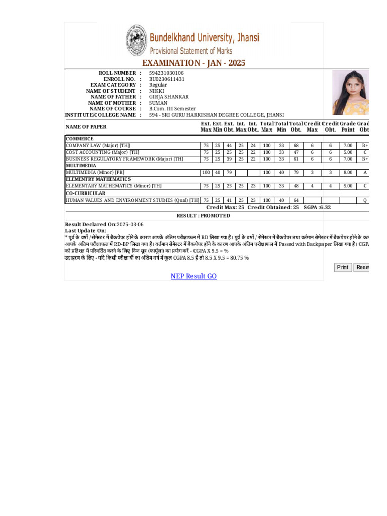 PDF Result Nikki | PDF