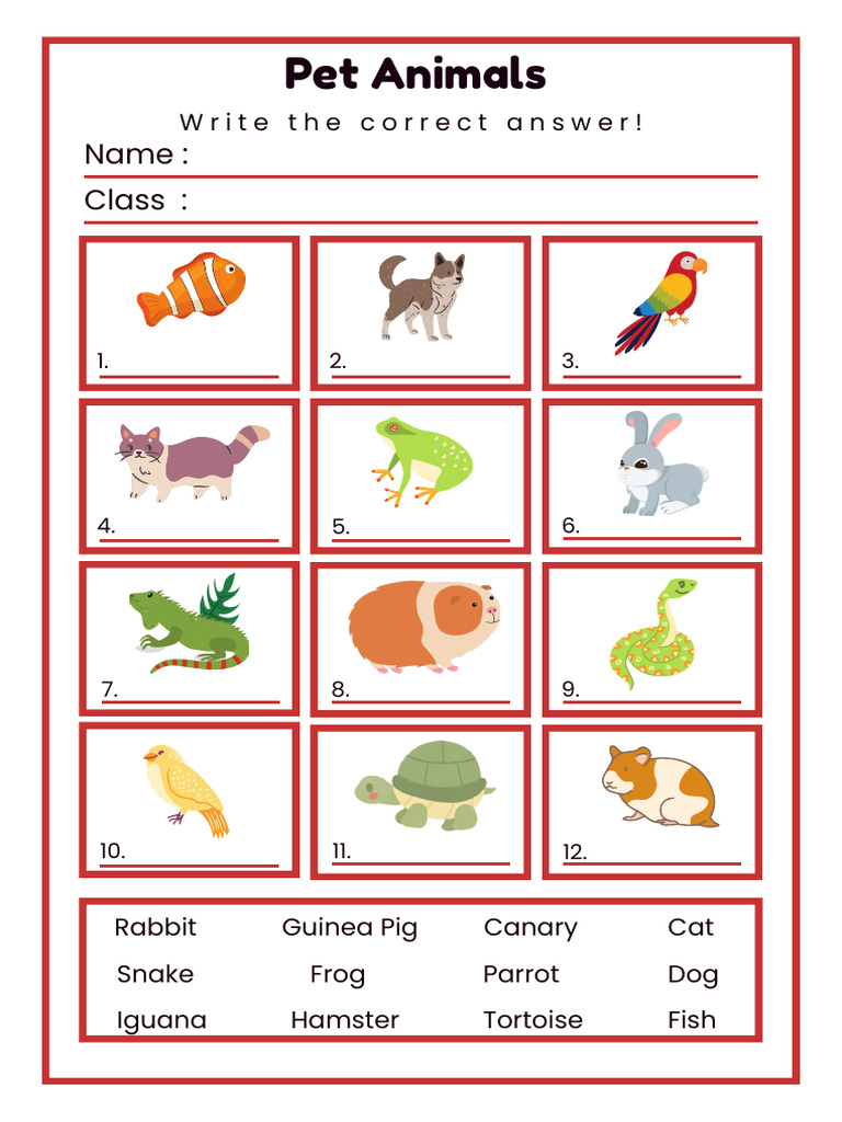 Colorful Illustrative Pet Animals Worksheet | PDF