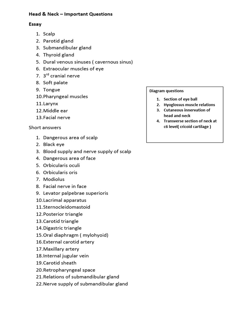 Hyoglossus Muscle Relations Explained | PDF