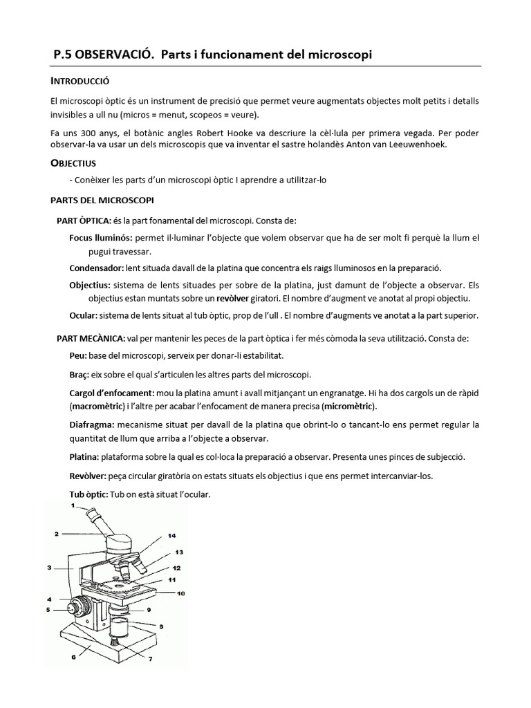 P.5 Parts I Funcionament Del Micrsocopi | PDF