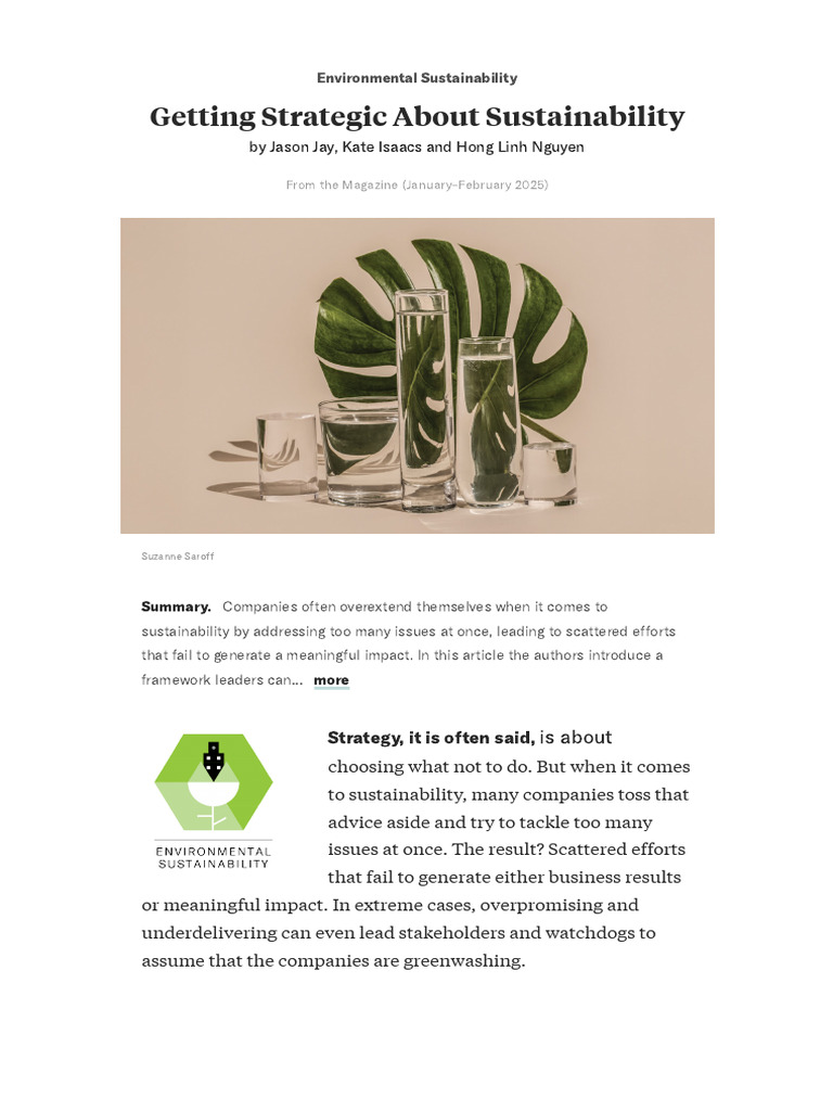Focused Sustainability Strategies Explained | PDF | Sustainability