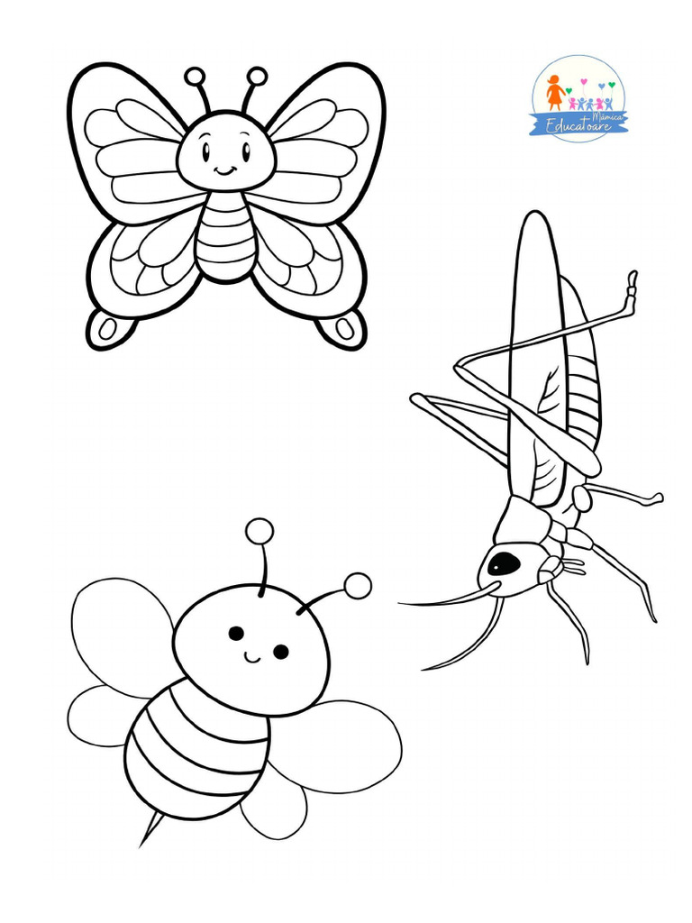 Insecte | PDF