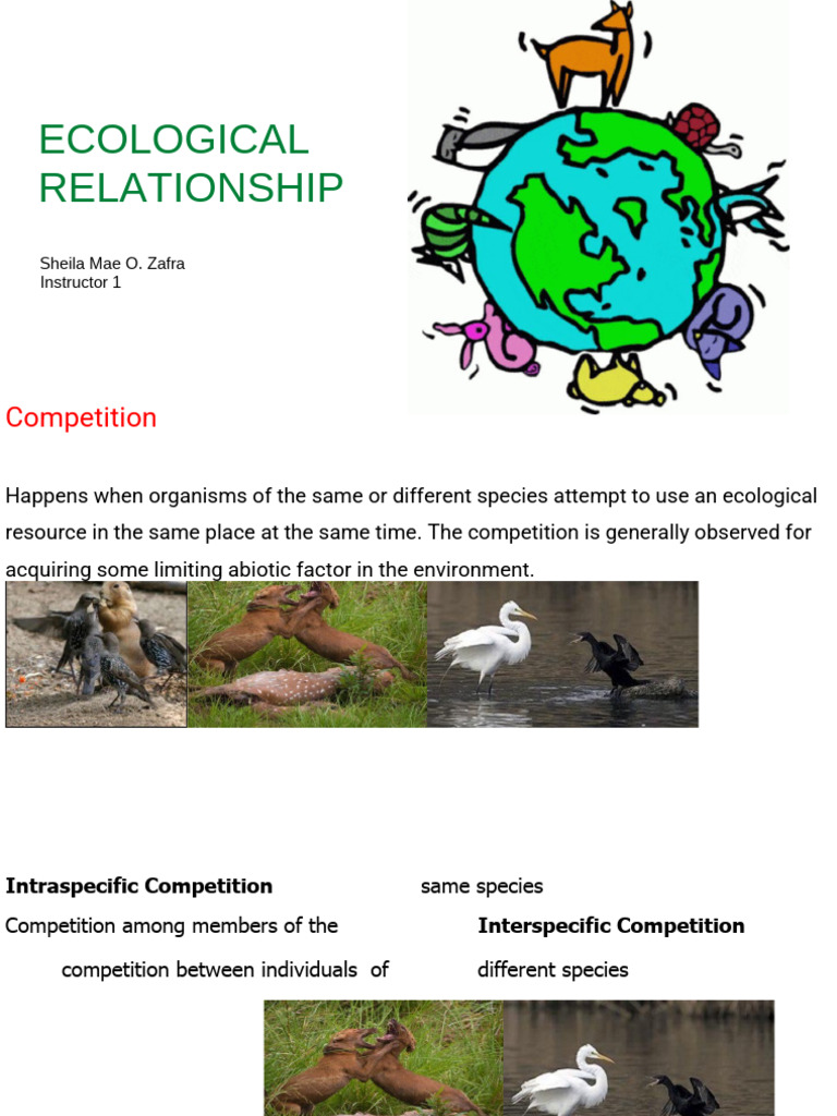04. ECOLOGICAL RELATIONSHIPS | PDF | Parasitism | Symbiosis