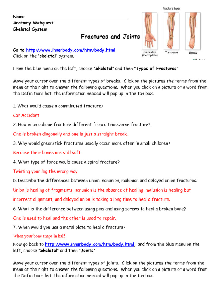 fractures_and_joints_webquest | PDF