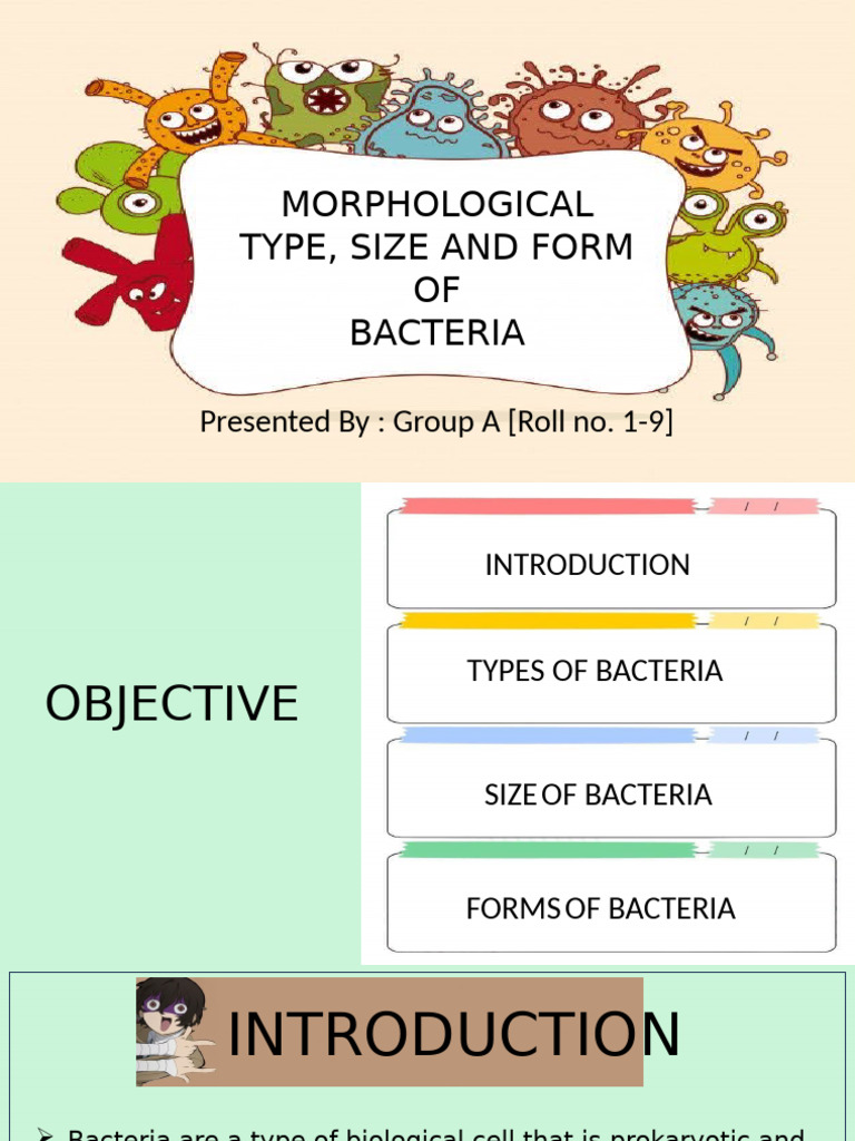 Morphological Types of Bacteria | PDF | Bacteria | Cell (Biology)