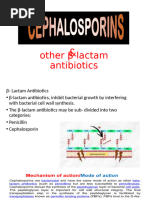 Northwestern Beta-Lactam Cross-Reactivity Chart | PDF | Penicillin ...