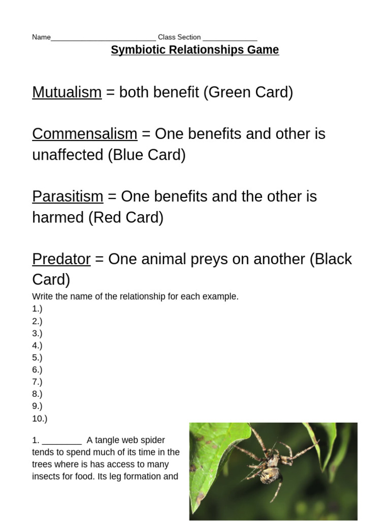 Symbiotic Relationships Game: Name - Class Section | PDF | Predation ...