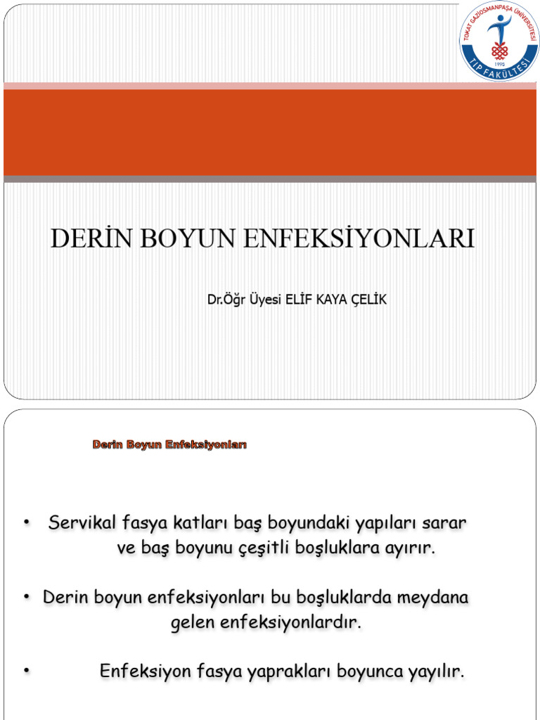 E DERİN BOYUN ENFEKSİYONLARI Dönem V | PDF