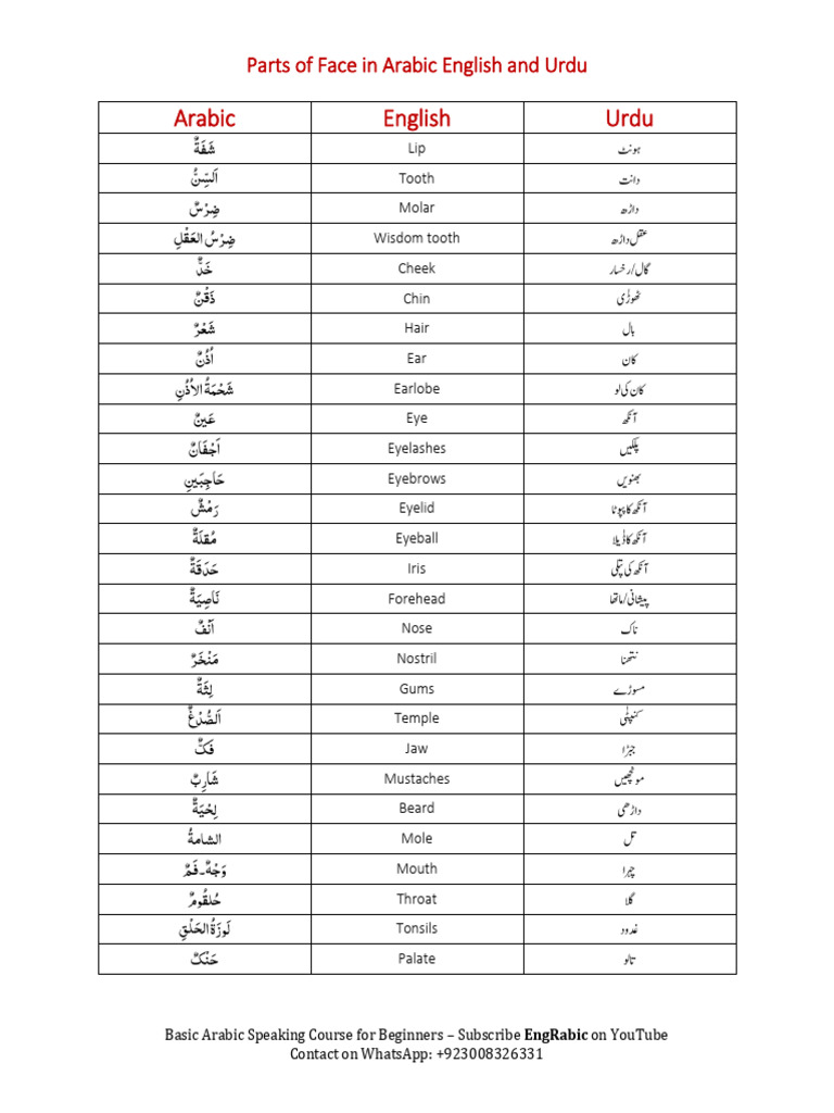 Face Parts in Arabic, English, Urdu | PDF
