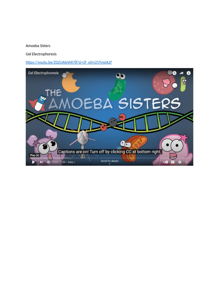 Amoeba Sisters Gel Electrophoresis | PDF