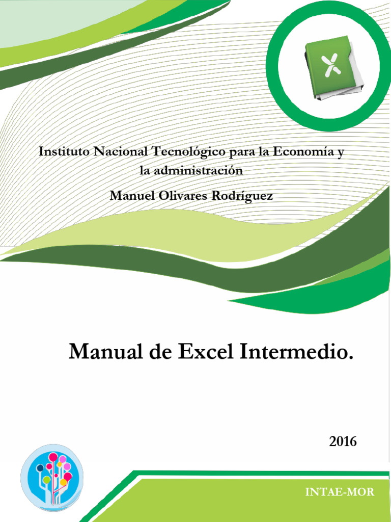 Manual Excel Intermedio | PDF | Microsoft Excel | Matriz (Matemáticas)