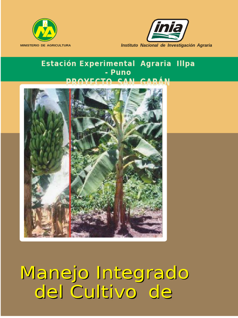 Vela-Manejo Integrado Cultivo Plátano | PDF | Agricultura | Raíz