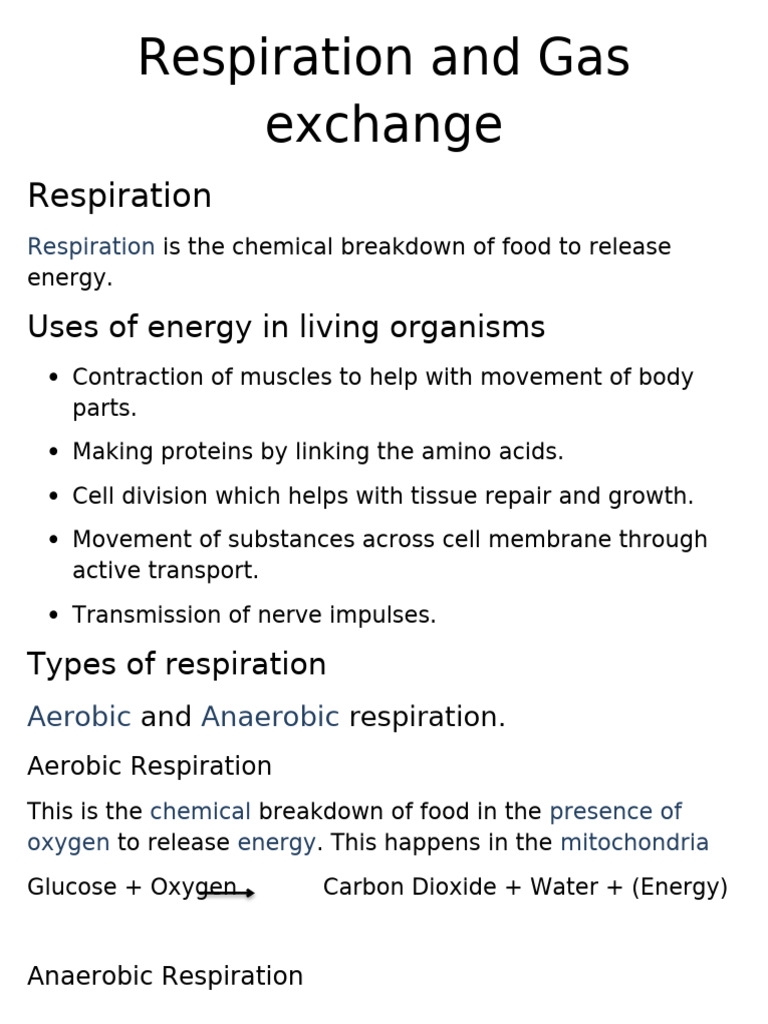 Respiration and Gas Exchange | PDF | Cellular Respiration | Lung