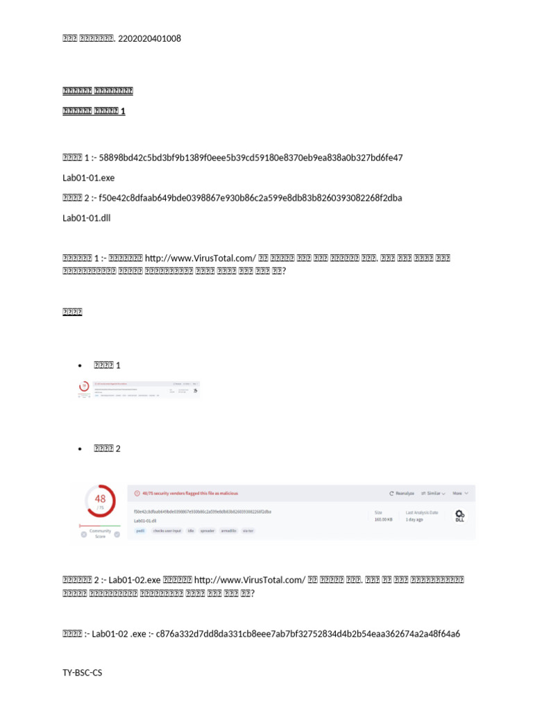 Malware Analysis - Gu | PDF