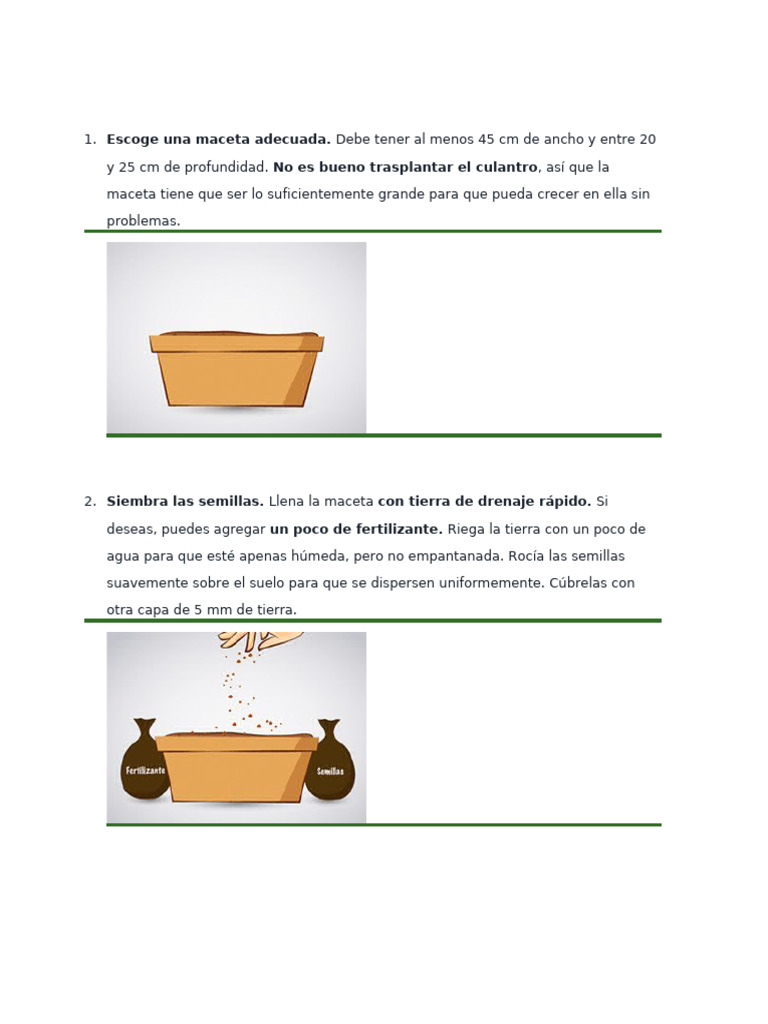 Cultivo y cuidado del culantro de monte | PDF | Cilantro