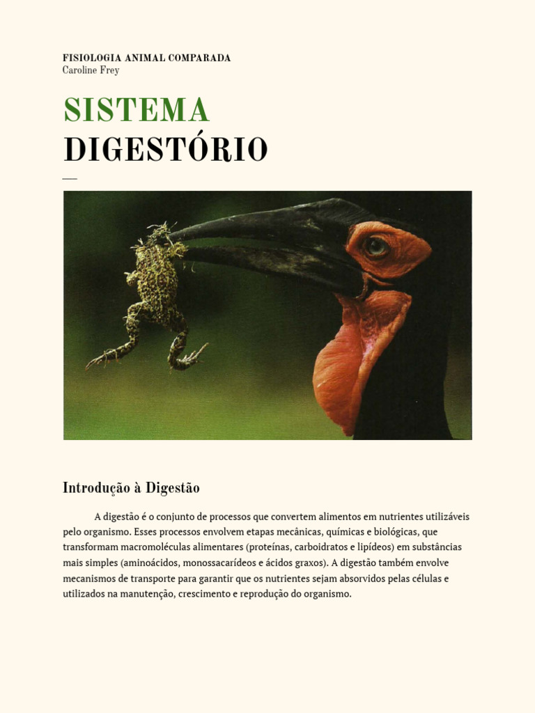 Estudo Dirigido de Fisiologia Animal Comparada - Caroline Frey | PDF | Osmose | Digestão