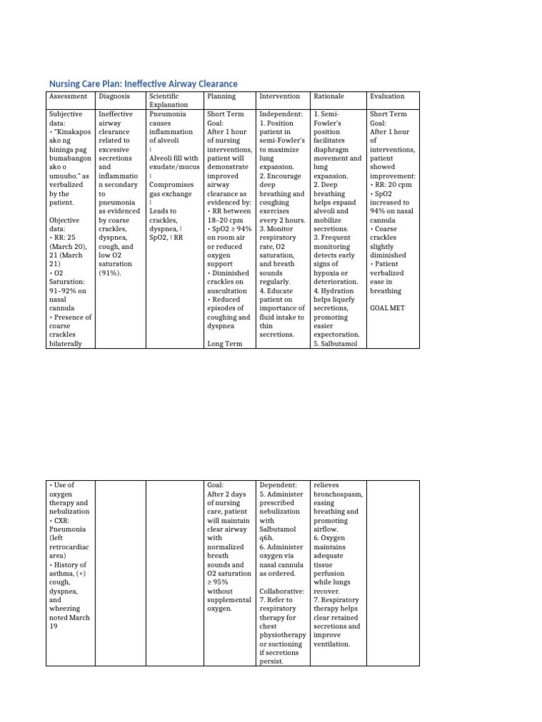 NCP_Ineffective_Airway_Clearance_MrsCGT (1) | PDF | Respiratory Tract | Breathing