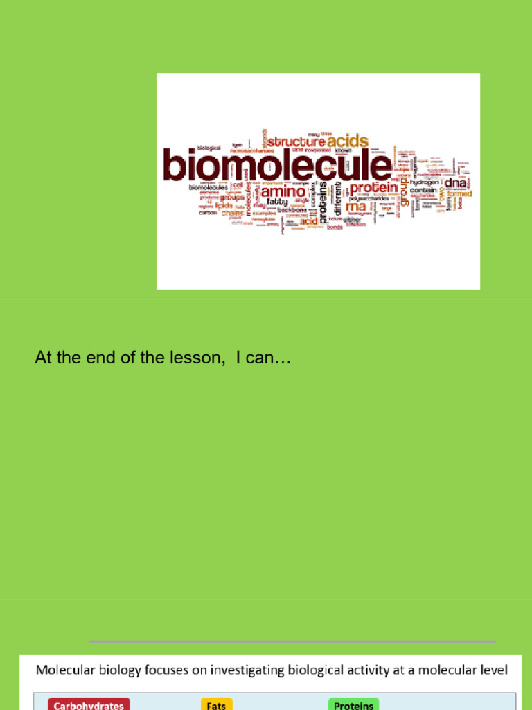 BIO1 Lesson 9 - Biomolecules | PDF | Dna | Nucleic Acids