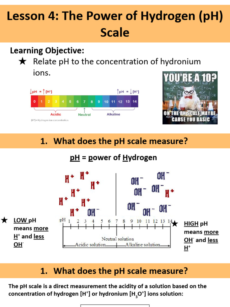 Understanding the pH Scale and Its Applications | PDF | Ph | Titration