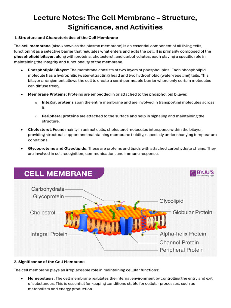 CELL-MEMBRANE (3) | PDF | Cell Membrane | Lipid Bilayer